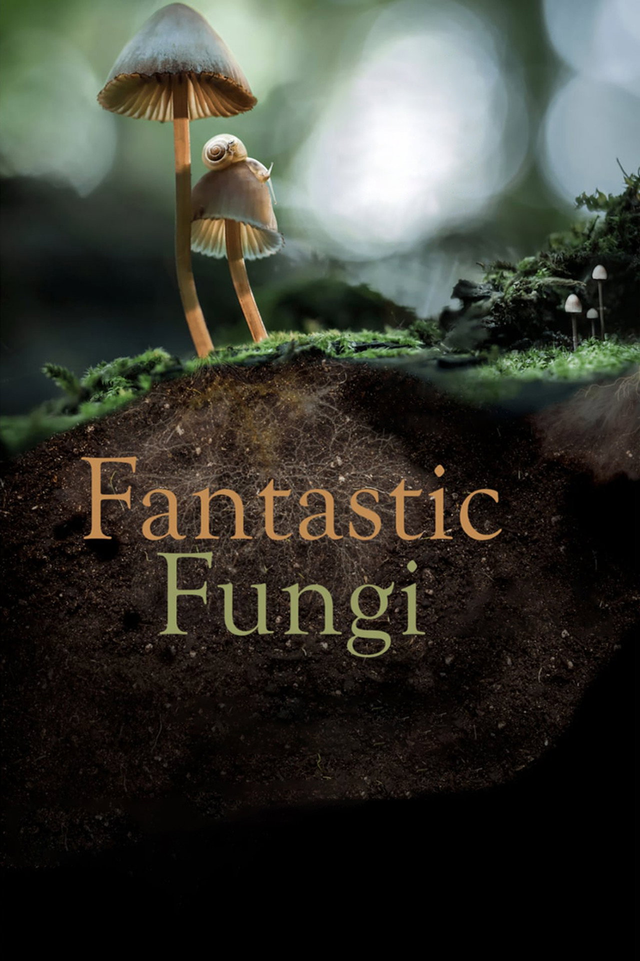 Fantastic Fungi subtitles Thai | opensubtitles.com
