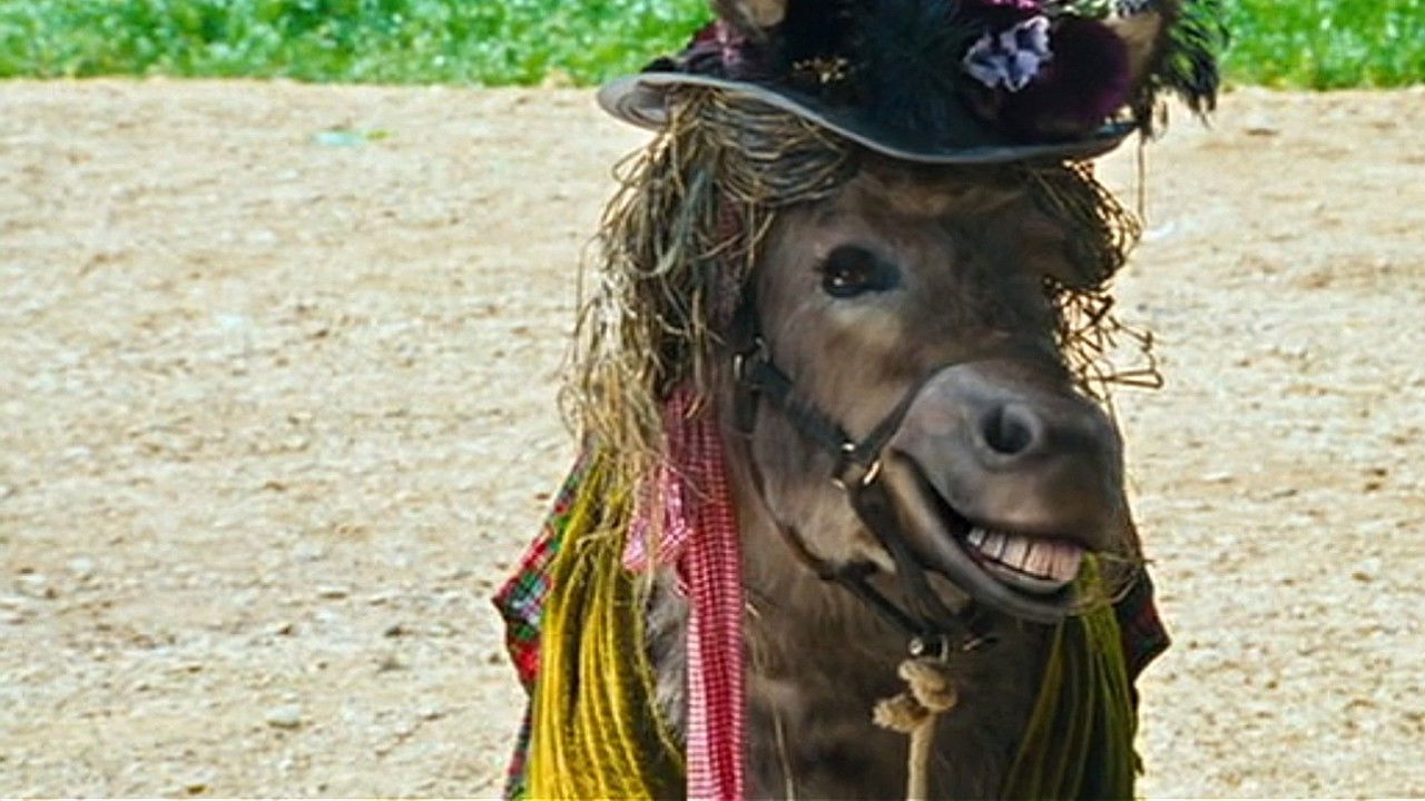 Eine Zauberhafte Nanny | Film 2005 | Moviebreak.de