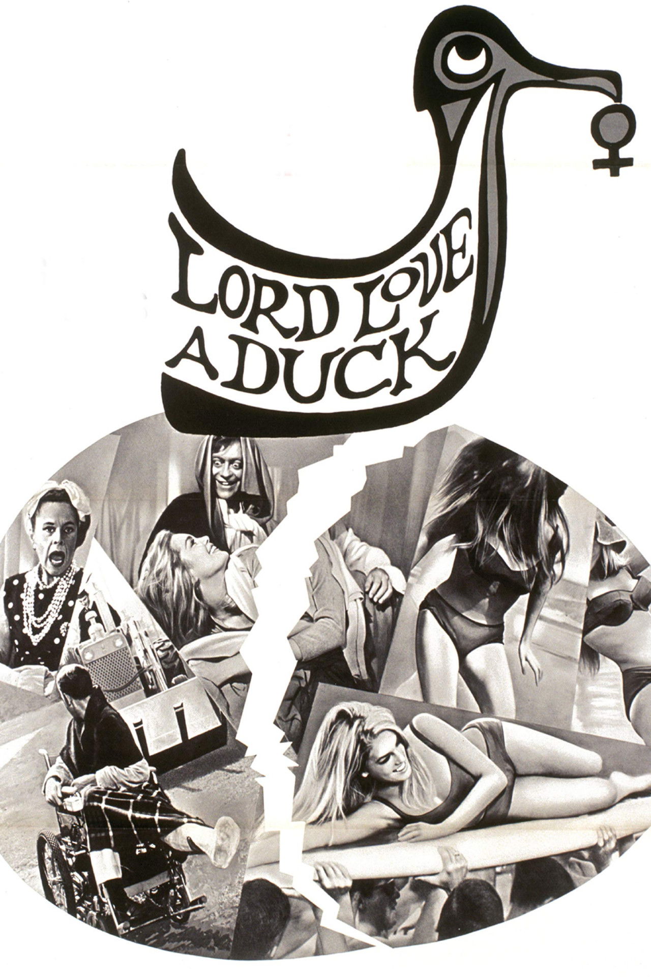 Lord Love a Duck subtitles Spanish | opensubtitles.com