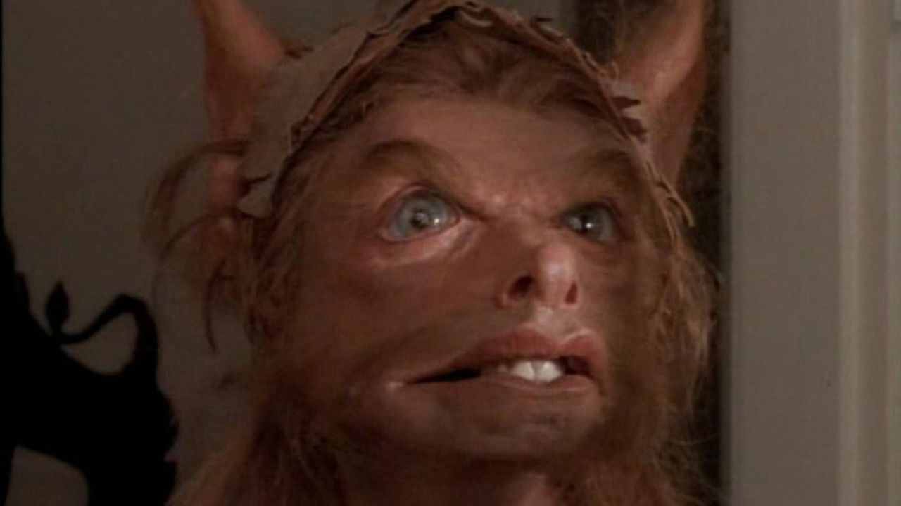 A Gnome Named Gnorm | Film 1990 | Moviebreak.de