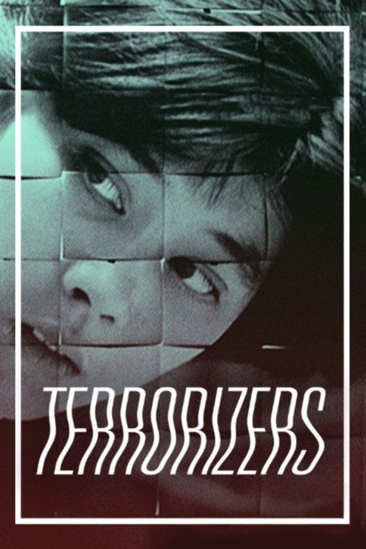 The Terrorizers subtitles English | opensubtitles.com