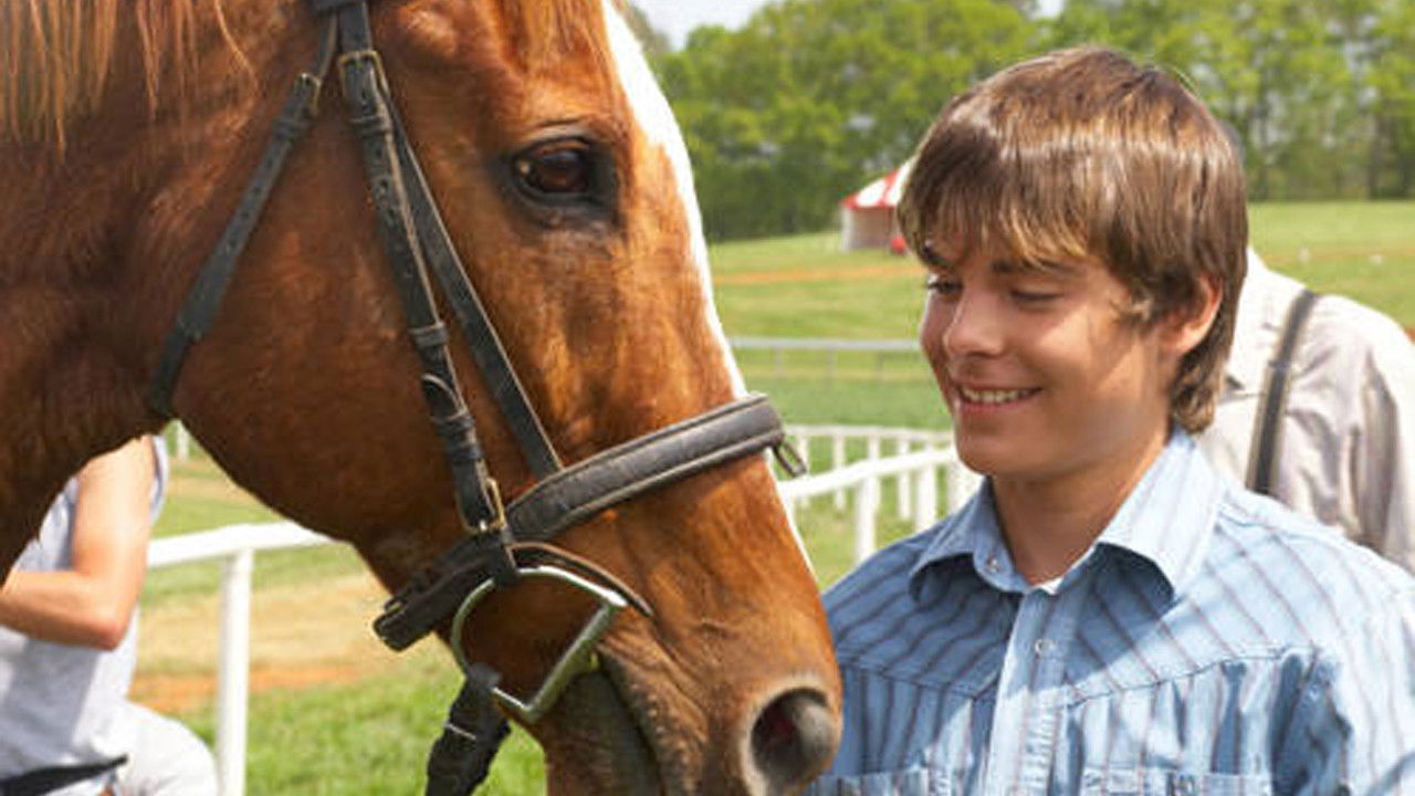 The Derby Stallion Movie Review and Ratings by Kids