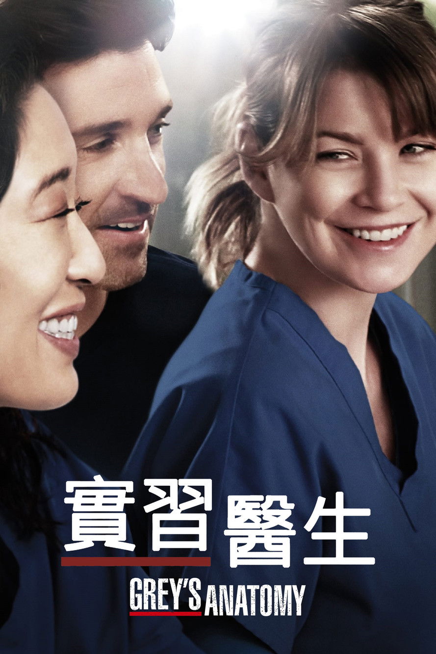 Anatomia de Grey Temporada 22 - Todas as legendas para esta Série de