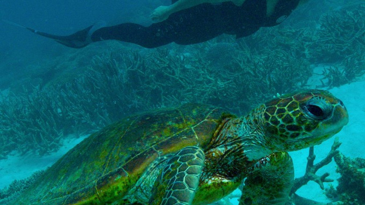 Deep Dive The Best Free Streaming Service