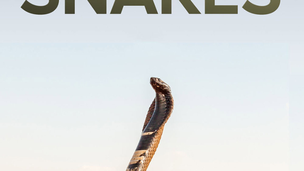Extreme Snakes | The Best Free Streaming Service