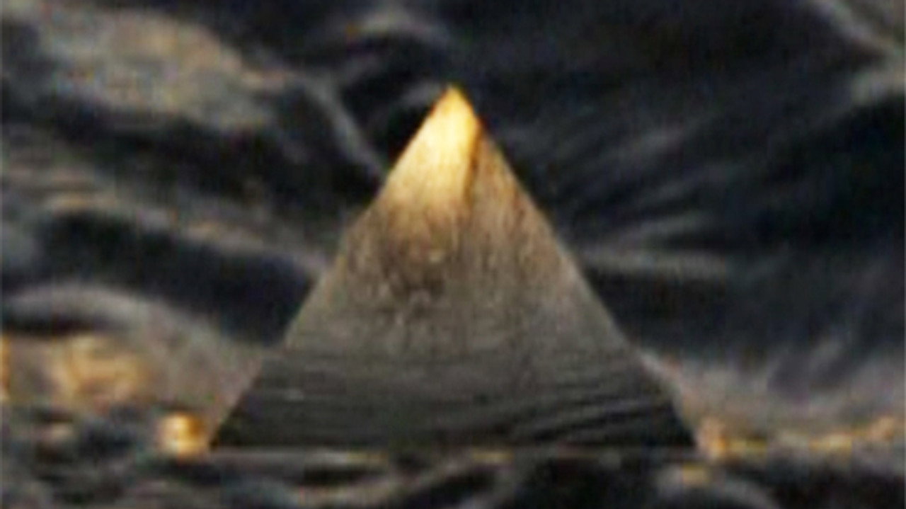 Spiders in Eden | The Best Free Streaming Service