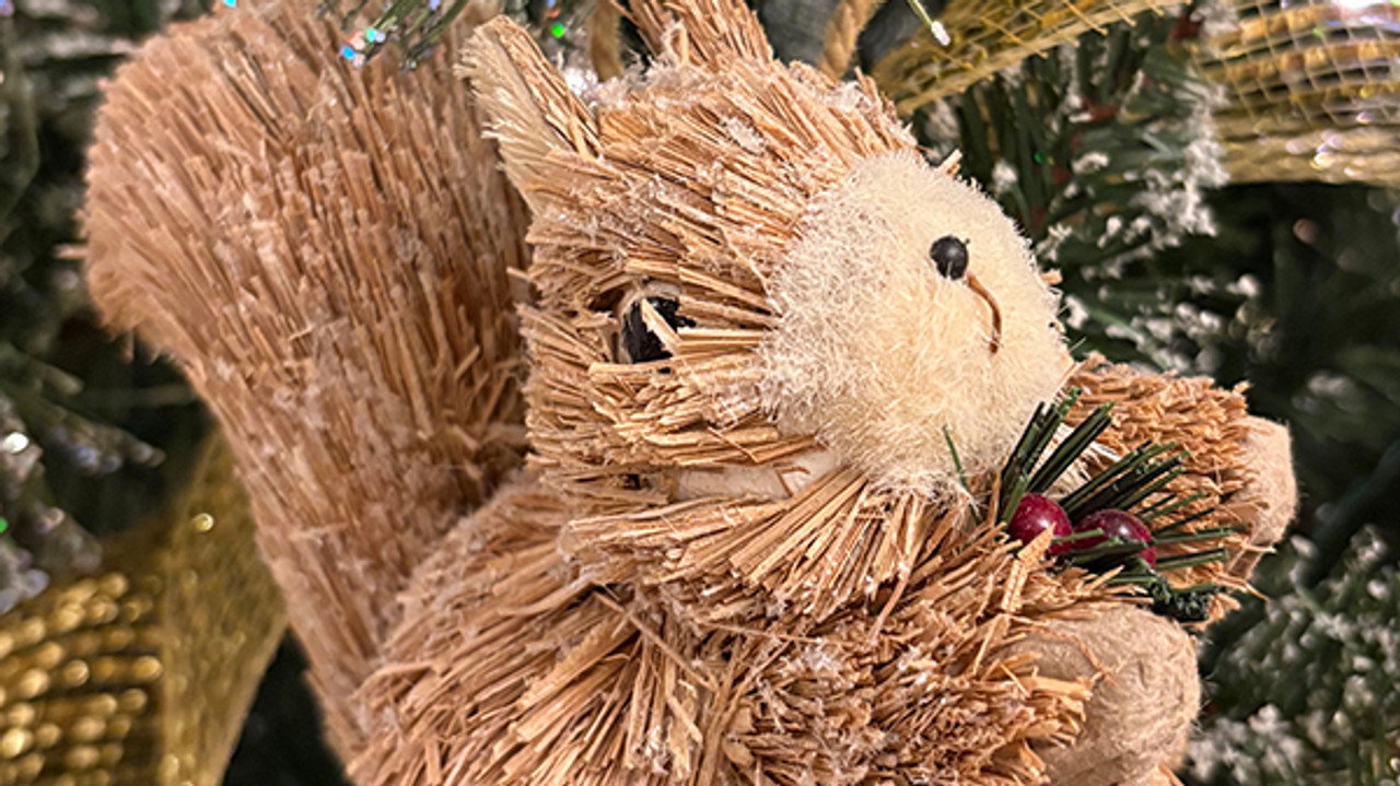 The Word | The Best Free Streaming Service