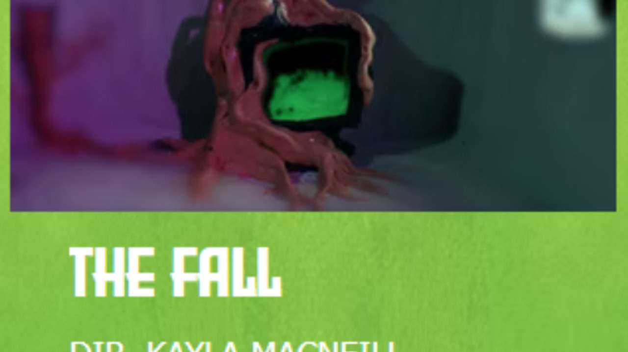 The Fall | The Best Free Streaming Service