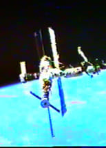 Space Insect ( 1995 ) - Palomitacas