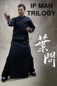 Ip Man Franchise - List of movies, prequel and sequel for Ip Man Franchise - MyMovieRack
