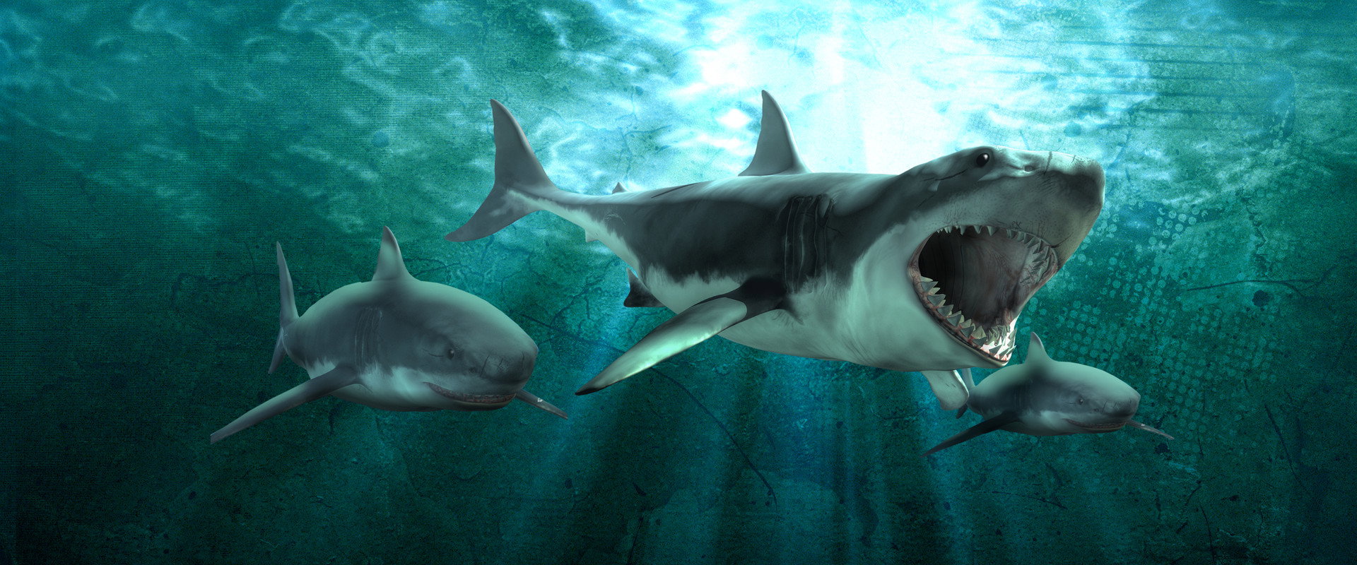 Shark Queens Watch Party | Teleparty