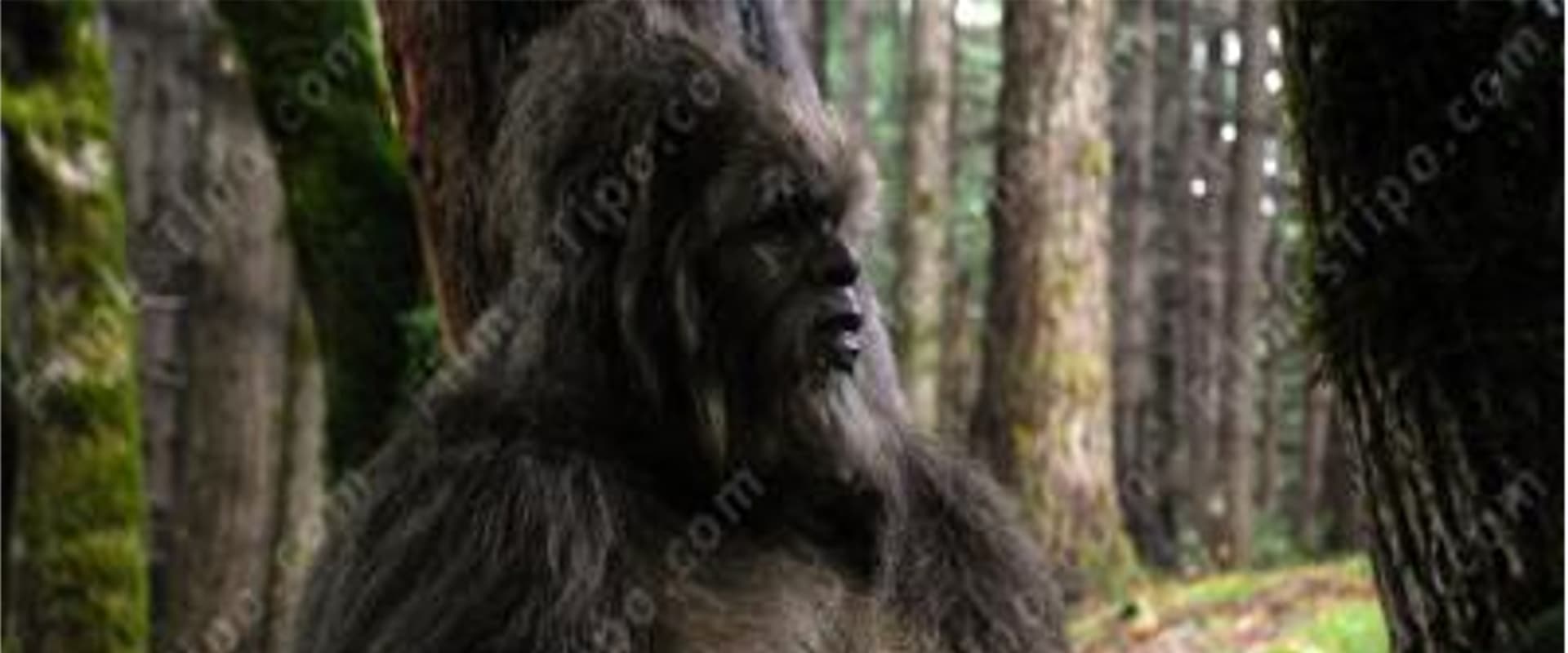 The Untold (Film, 2002) - MovieMeter.nl