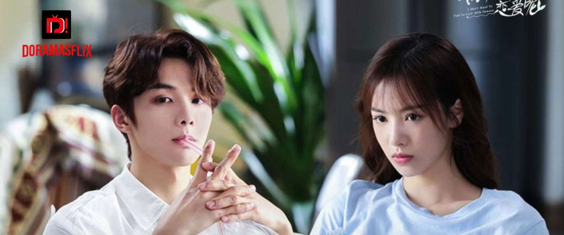 Ver dorama I Don't Want to Fall in Love With Humans online sub español HD Doramasflix