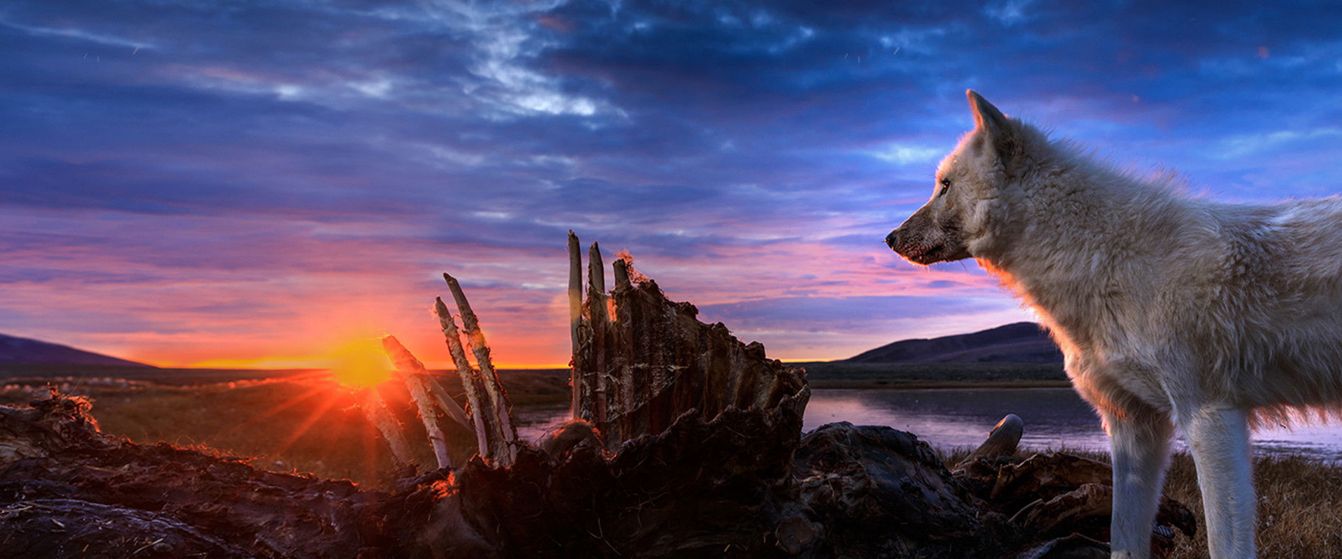 Kingdom of the White Wolf Watch Party | Teleparty