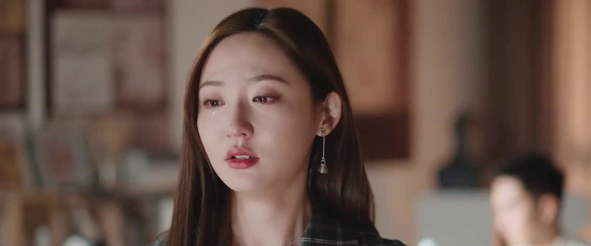 Ver dorama Fairy From the Painting online sub español HD Doramasflix