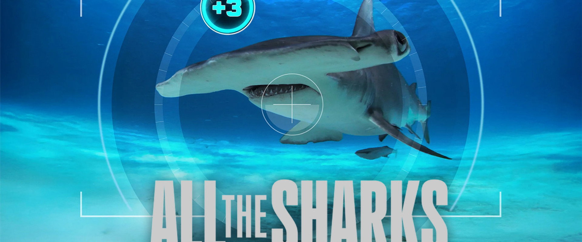 All the Sharks Watch Party | Teleparty