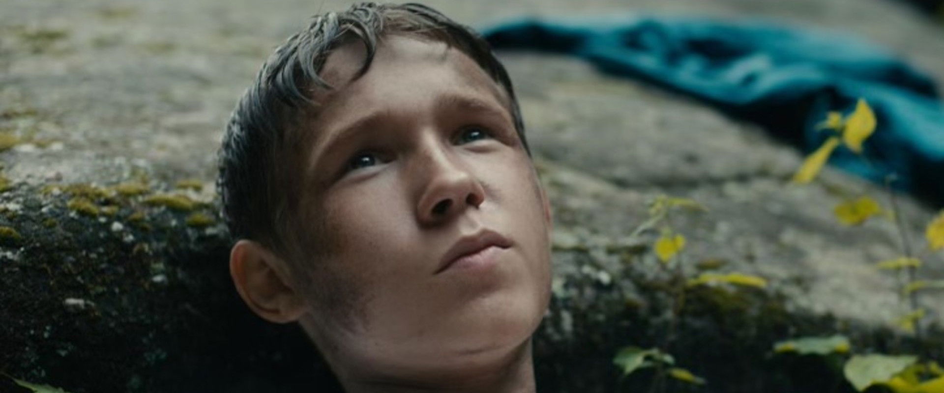 Lost on a Mountain in Maine (Film, 2024) - MovieMeter.nl