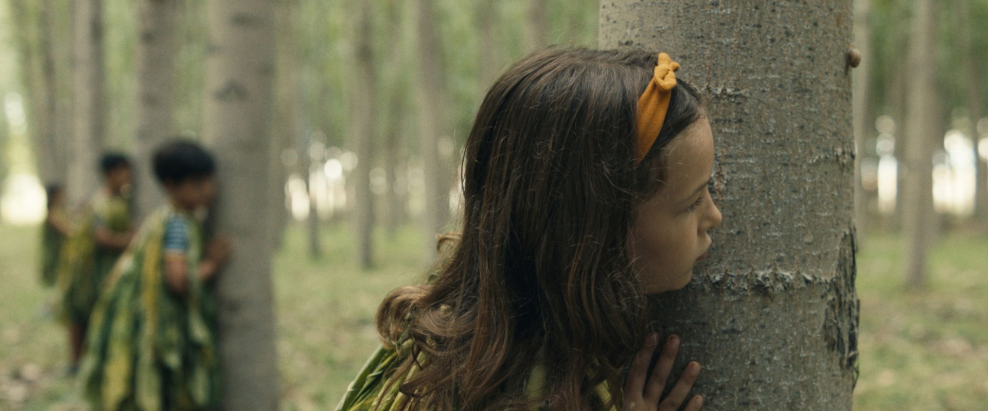 Assistir Uma Terra Mágica Online - Vizer