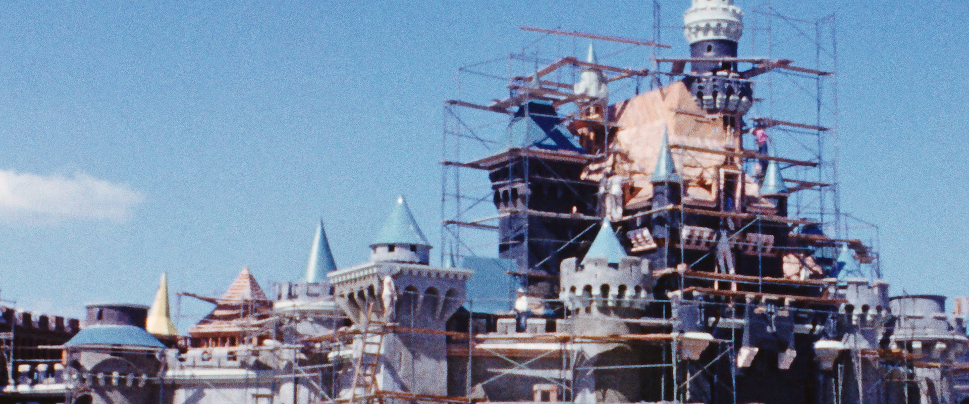 Disneyland Handcrafted Watch Party | Teleparty