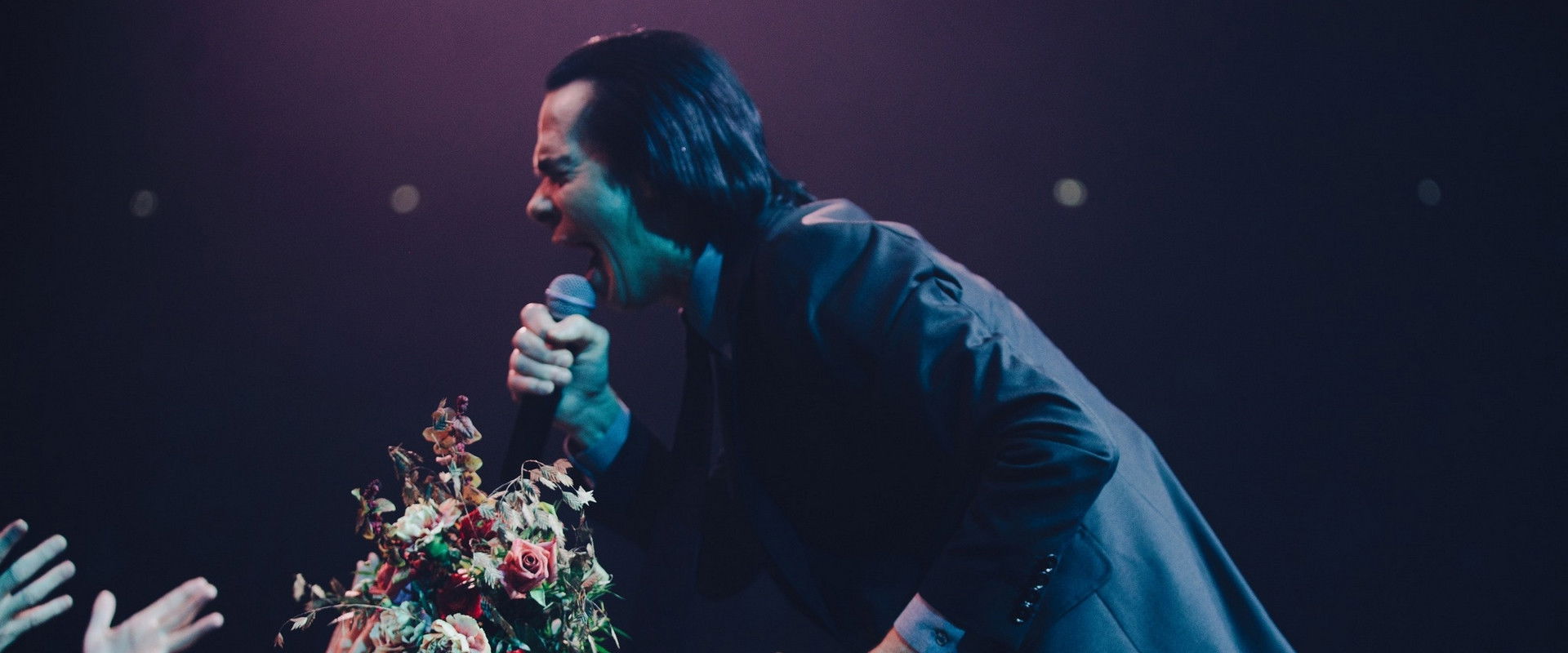 Nick Cave & The Bad Seeds: The Wild God Tour (2025) - mdblist.com