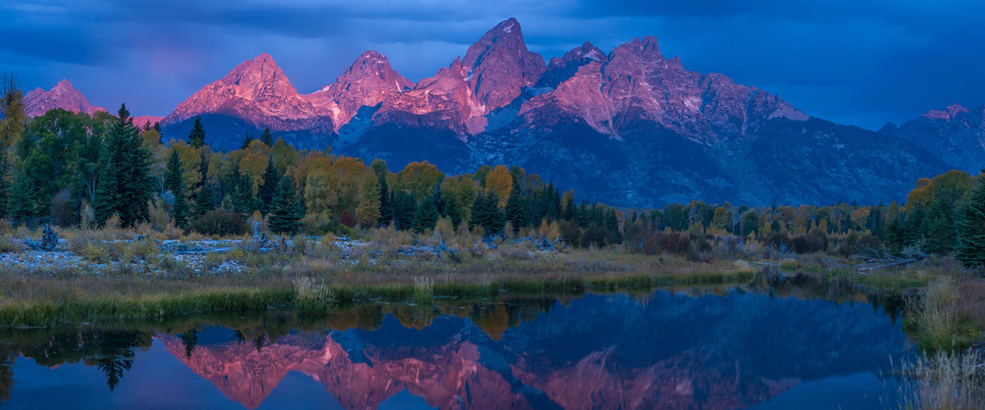 Wild Yellowstone Watch Party | Teleparty