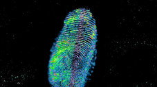 Forensics - The Science of Crime | The Best Free Streaming Service