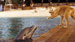 Surviving with Wolves (2007) — The Movie Database (TMDb)