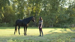 Windstorm 2 (2015) — The Movie Database (TMDb)