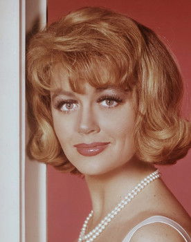 Katie: Portrait of A Centerfold (1978) — The Movie Database (TMDb)