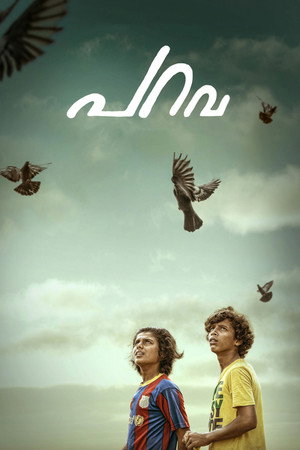 Parava (2017) a.k.a പറവ Where to Watch Online, Official Trailer ...