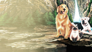 Homeward Bound Movies Online Streaming Guide