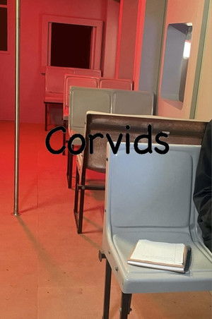 Corvids ( 2024 ) - Palomitacas