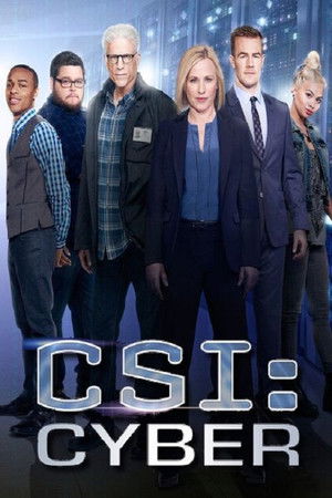 CSI: Cyber (TV Series 2015-2016) — The Movie Database (TMDb)