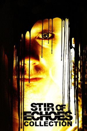 Stir of Echoes Collection — The Movie Database (TMDb)