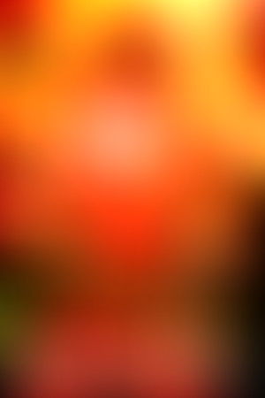 Flashpoint (1998) — The Movie Database (TMDb)