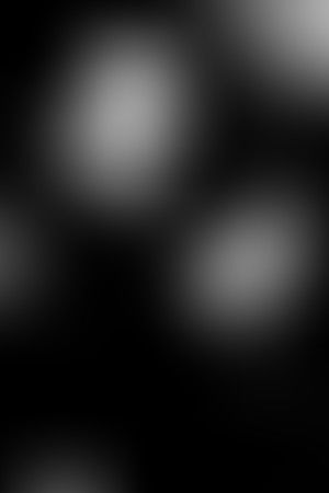 Lino Brocka — The Movie Database (TMDb)