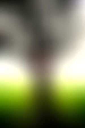 Nito (2003) — The Movie Database (TMDb)