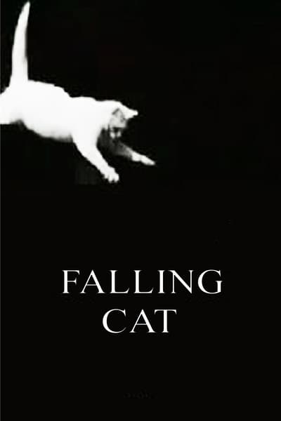 Falling Cat | Criticless