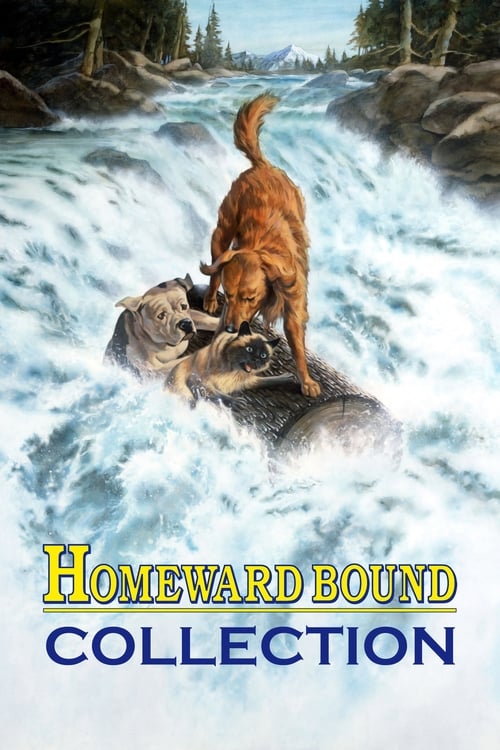 Homeward Bound Movies Online Streaming Guide