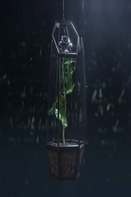 The Best Way to Watch Mavro Rodo – The Streamable