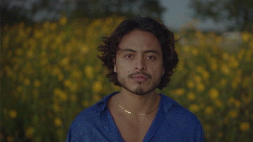 Mi amor ( 2025 ) - Palomitacas