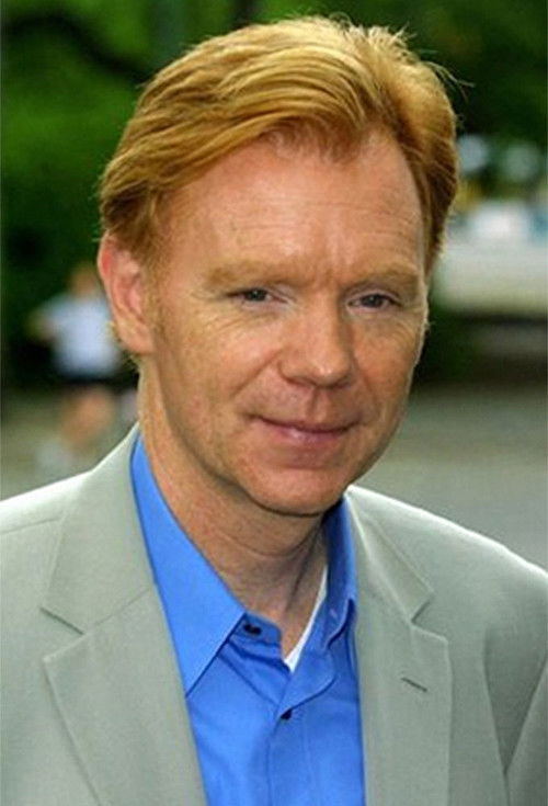 David Caruso — The Movie Database (TMDb)