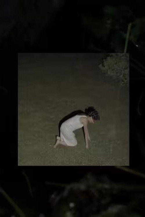 The Only Water | Criticless