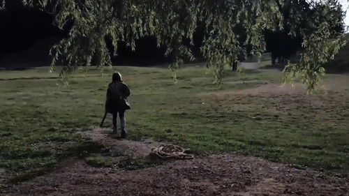 AGONY ( 2022 ) - Palomitacas