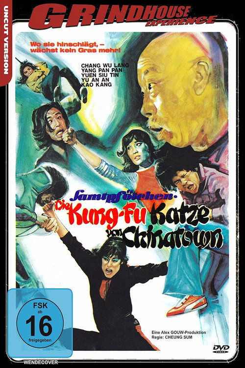 Where To Stream Kung Fu Master Named Drunk Cat 1978 Online Comparing