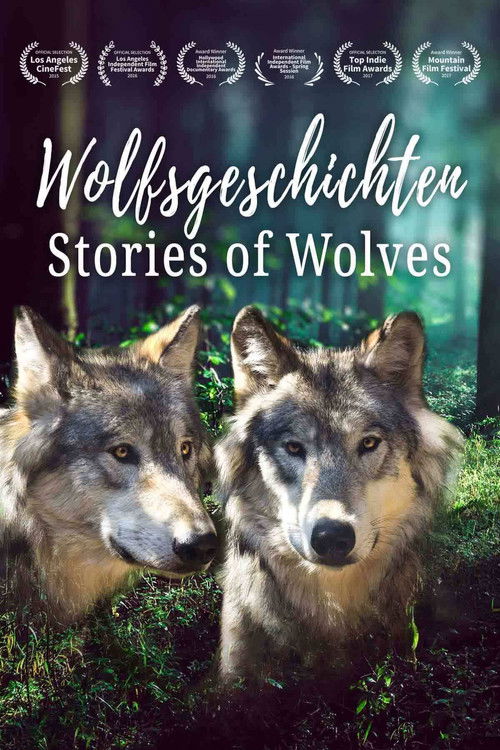 Stories of Wolves-The Lobo returns - Palomitacas
