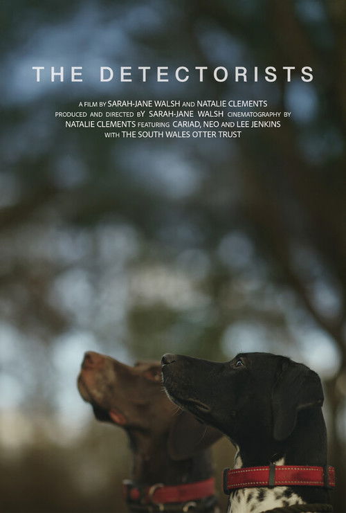 The Detectorists (—) Torrent