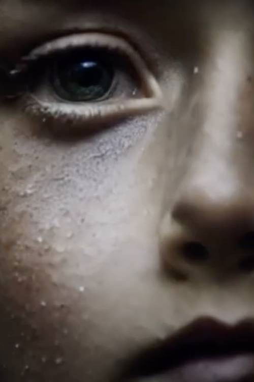 The Cursed Forest | Criticless