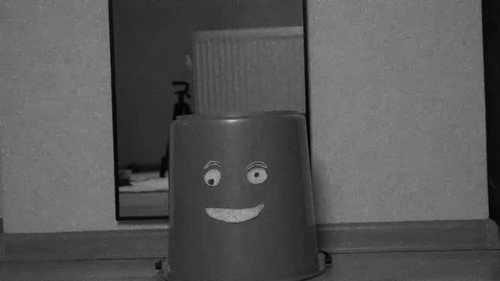 The Buckethead ( 2025 ) - Palomitacas