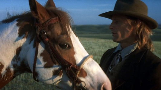 Hidalgo (2004) — The Movie Database (TMDb)